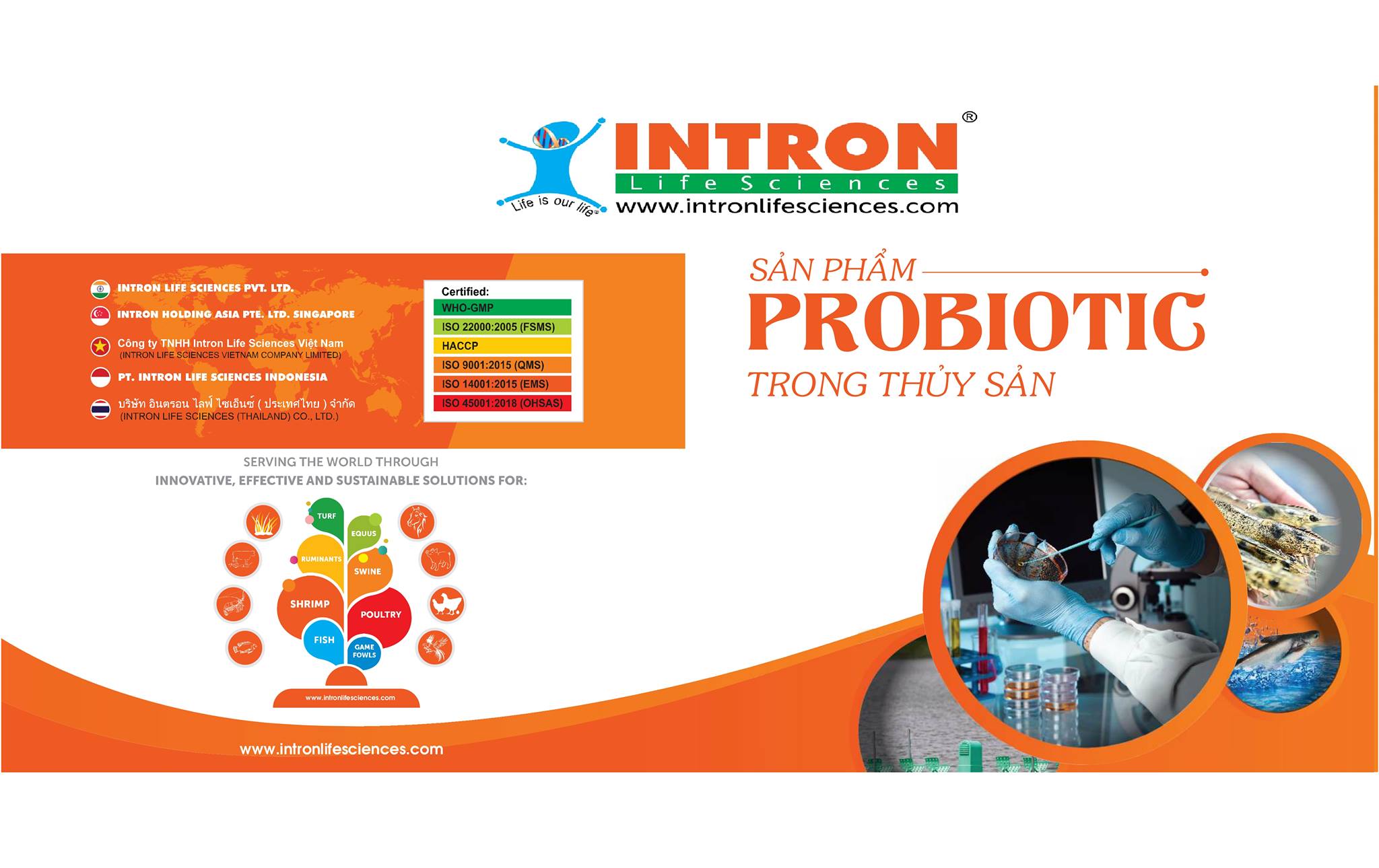 Intron Life Sciences Việt Nam tuyển dụng 09/2024 (3 đang tuyển) : lương ...