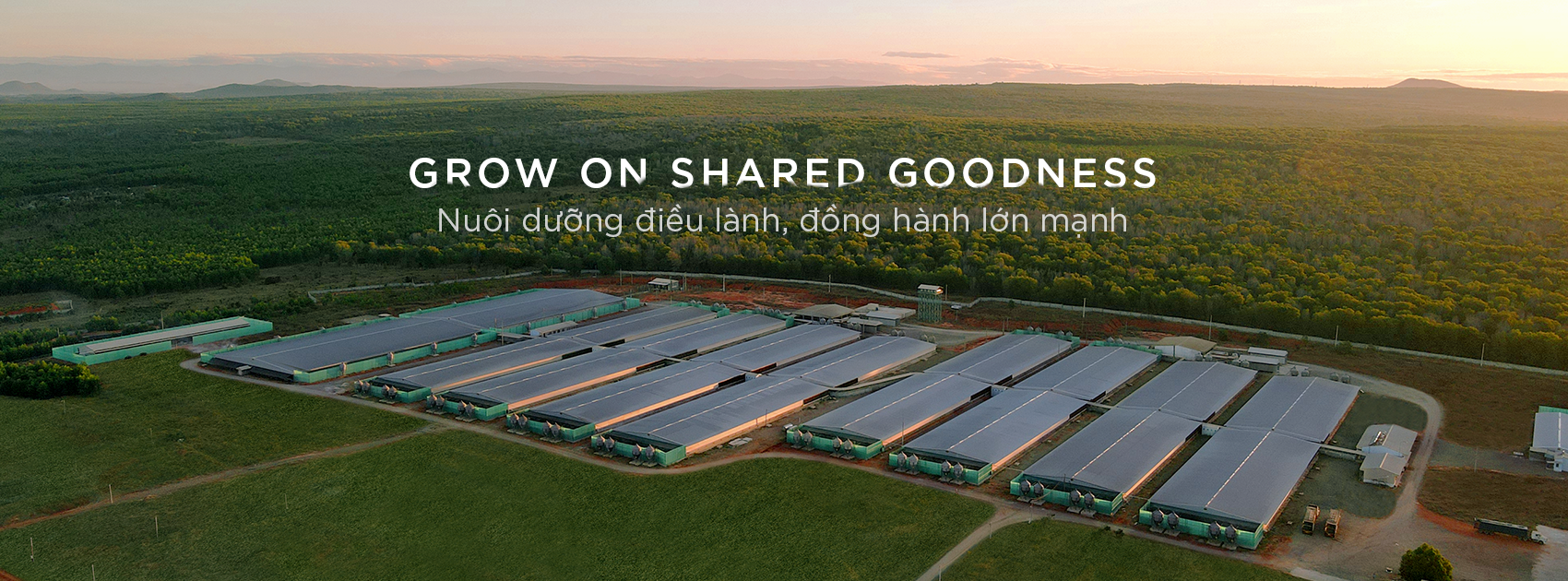 CÔNG TY CỔ PHẦN GREENFEED VIỆT NAM tuyển dụng 07/2024 (97 đang tuyển ...